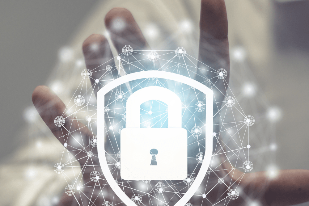 Why Does Your Business Need Network Security Monitoring?